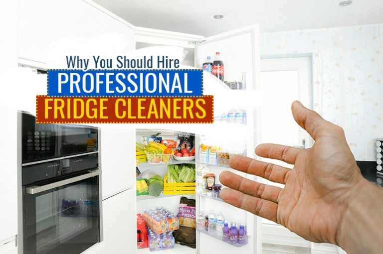 Professional Fridge Cleaners for Your Fridge Cleaning Needs - Blog